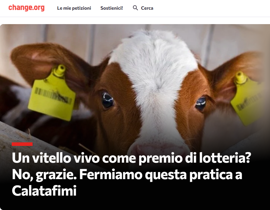 Calatafimi, vince la mobilitazione: niente vitello vivo, al suo posto ...